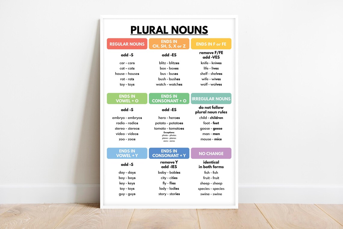 PLURAL NOUNS POSTER, Grammar Chart for Homeschool, Classroom Wall Decor ...