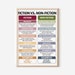 PARTS OF SPEECH 8 Posters Set, English Grammar Poster Set, Classroom ...