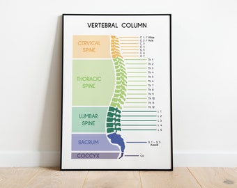 Home School Human Anatomy - Etsy