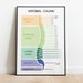SPINE POSTER, Spinal Column, Human Spine, Anatomy Art, Vertebral Column ...