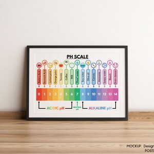 PH SCALE POSTER, Educational Posters, Science Poster for Kids, Visual ...