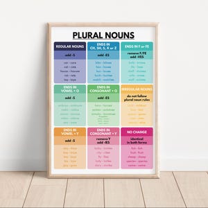 PLURAL NOUNS POSTER, Grammar Anchor Chart for Homeschool, Classroom ...