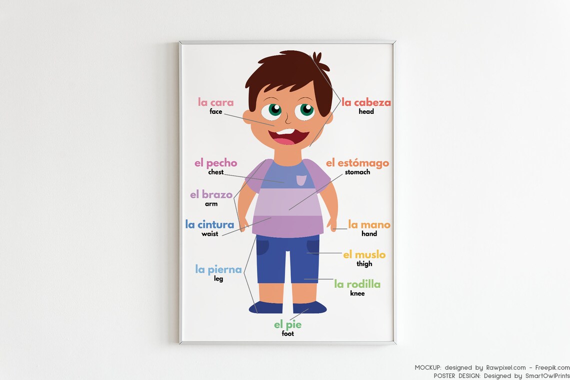 Spanish Language, BODY PARTS in Spanish, Face, Spanish Nouns, Spanish ...