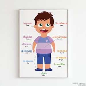 Spanish Language, BODY PARTS in Spanish, Face, Spanish Nouns, Spanish ...