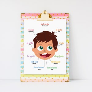 Spanish Language, BODY PARTS in Spanish, Face, Spanish Nouns, Spanish ...