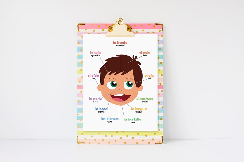 Spanish Language, BODY PARTS in Spanish, Face, Spanish Nouns, Spanish ...