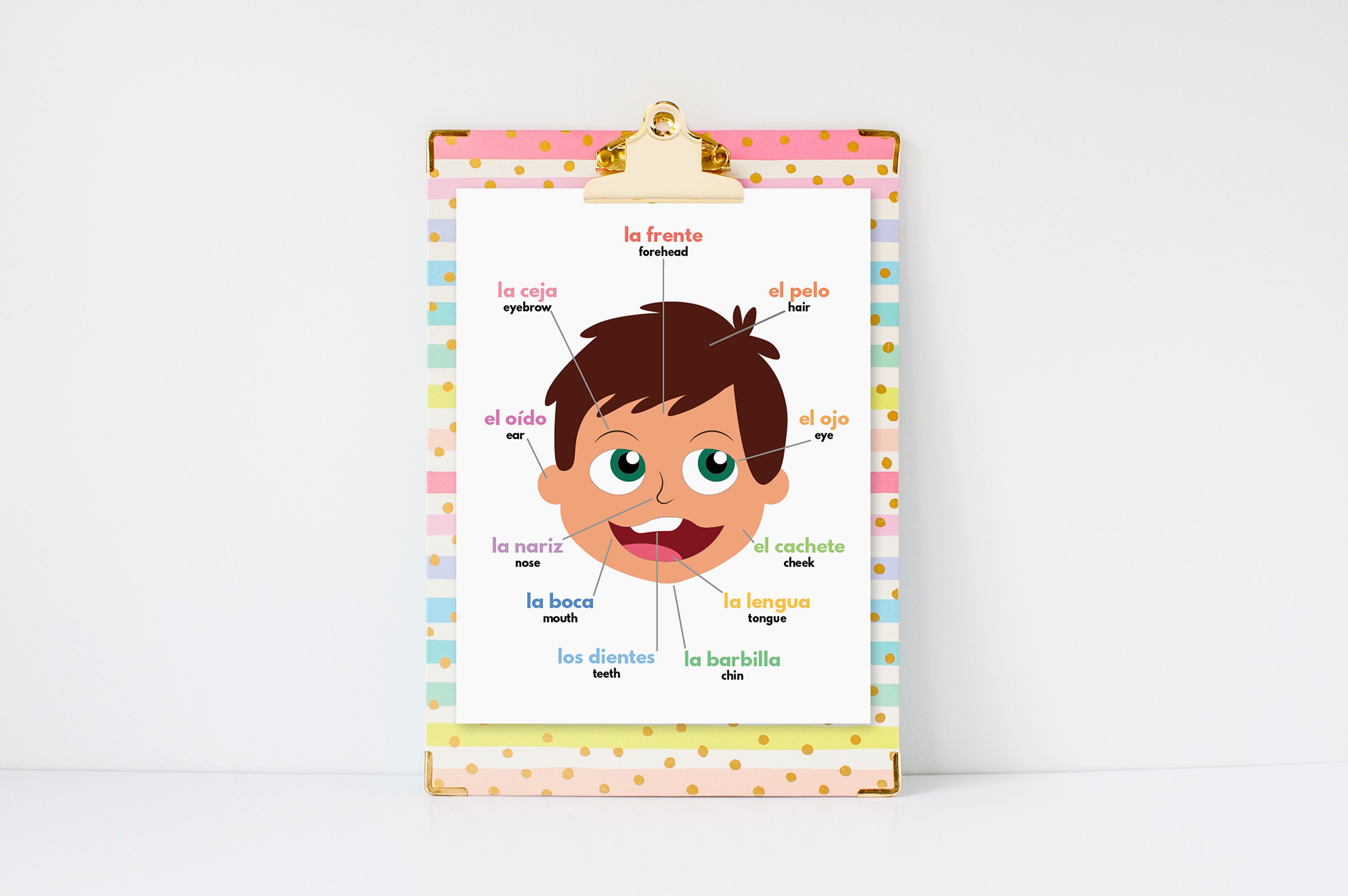 Spanish Language, BODY PARTS in Spanish, Face, Spanish Nouns, Spanish ...