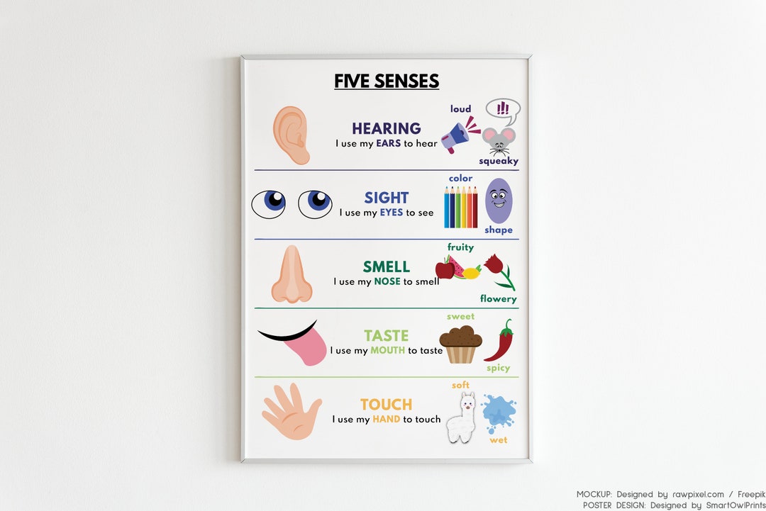 FIVE SENSES Poster Educational Posters Hearing Sight Smell - Etsy