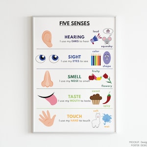FIVE SENSES Poster, Educational Posters, Hearing Sight Smell Taste ...