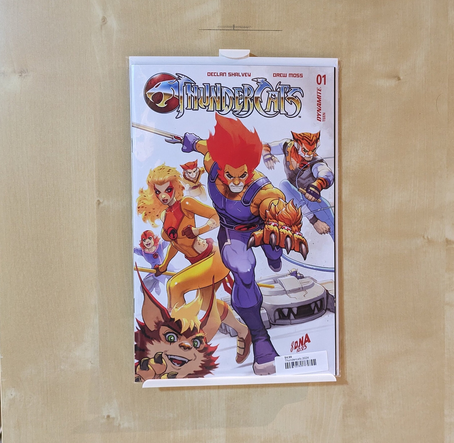 Boarded Comic Book Wall Mount Display Shelf, Bagged, Comic Stand ...