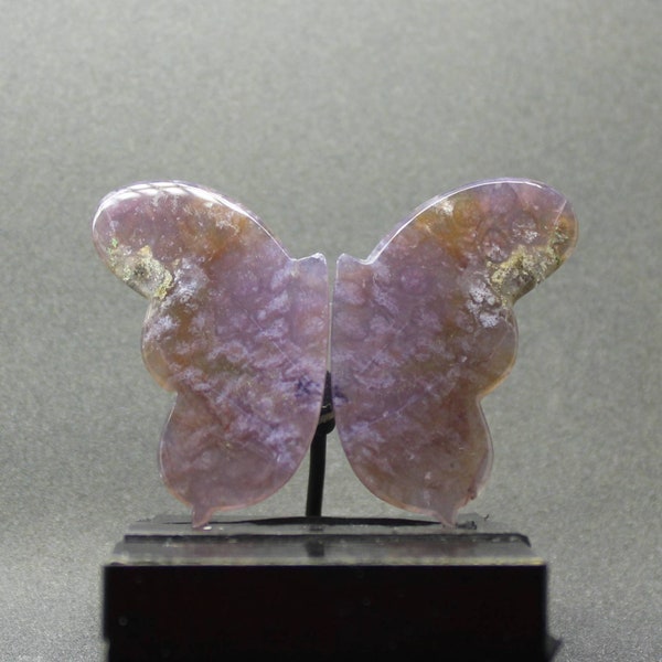 Coral Butterfly - Etsy