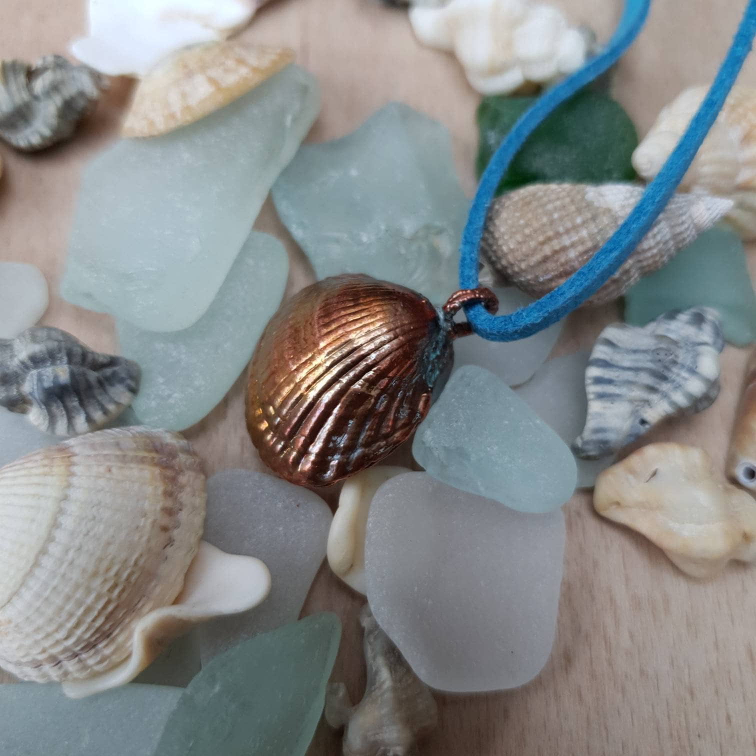 Cockle Shells Pendant Real Cockle Shells Electroformed in - Etsy UK
