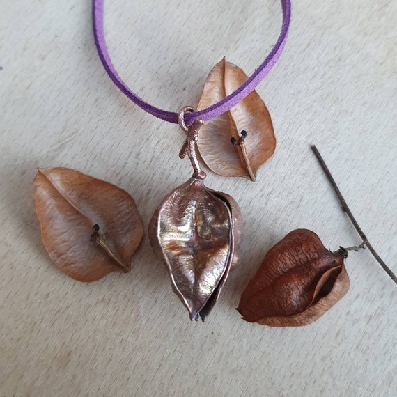 Pride of India Tree Seed Pod Pendant Real Seed Pod | Etsy