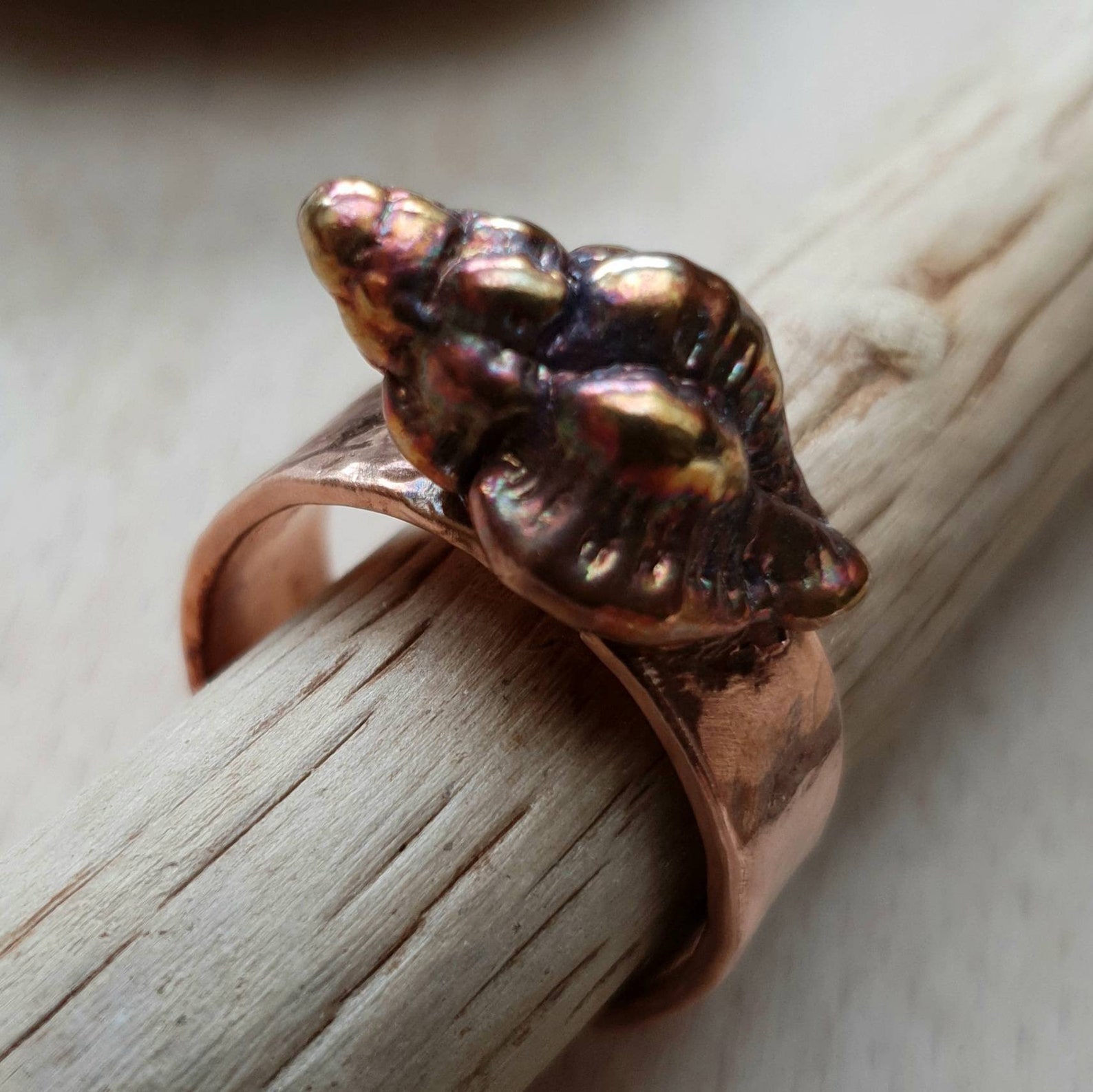 Shell Ring UK Size S 1/2 Real Shell Electroformed in | Etsy