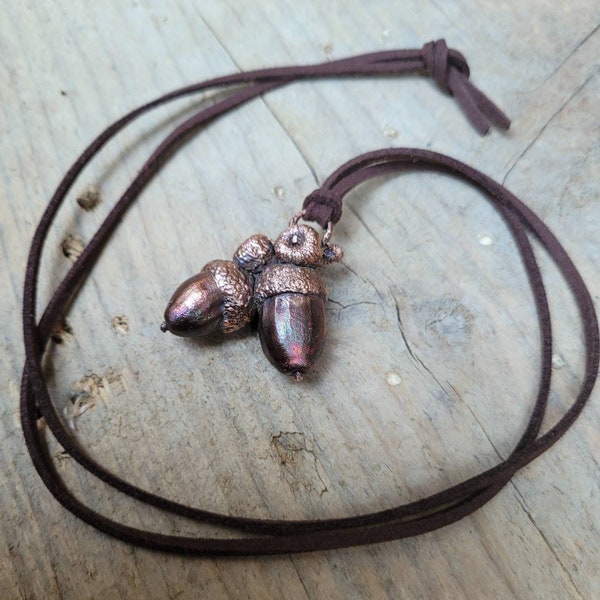 Real Acorns - Etsy UK