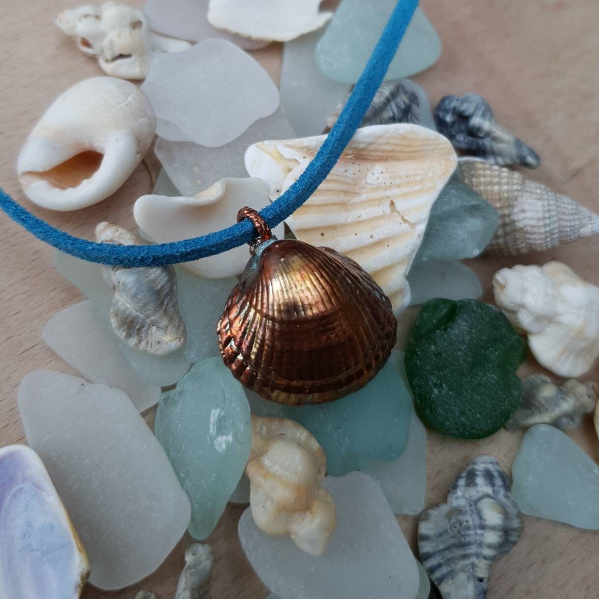 Cockle Shells Pendant Real Cockle Shells Electroformed in - Etsy UK