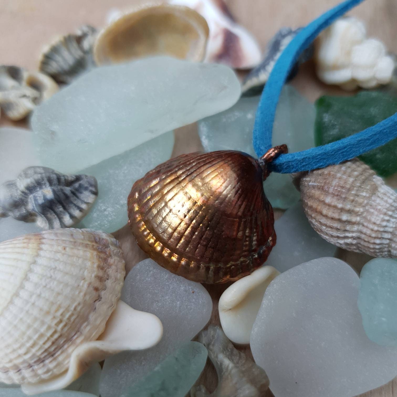 Cockle Shells Pendant Real Cockle Shells Electroformed in - Etsy UK