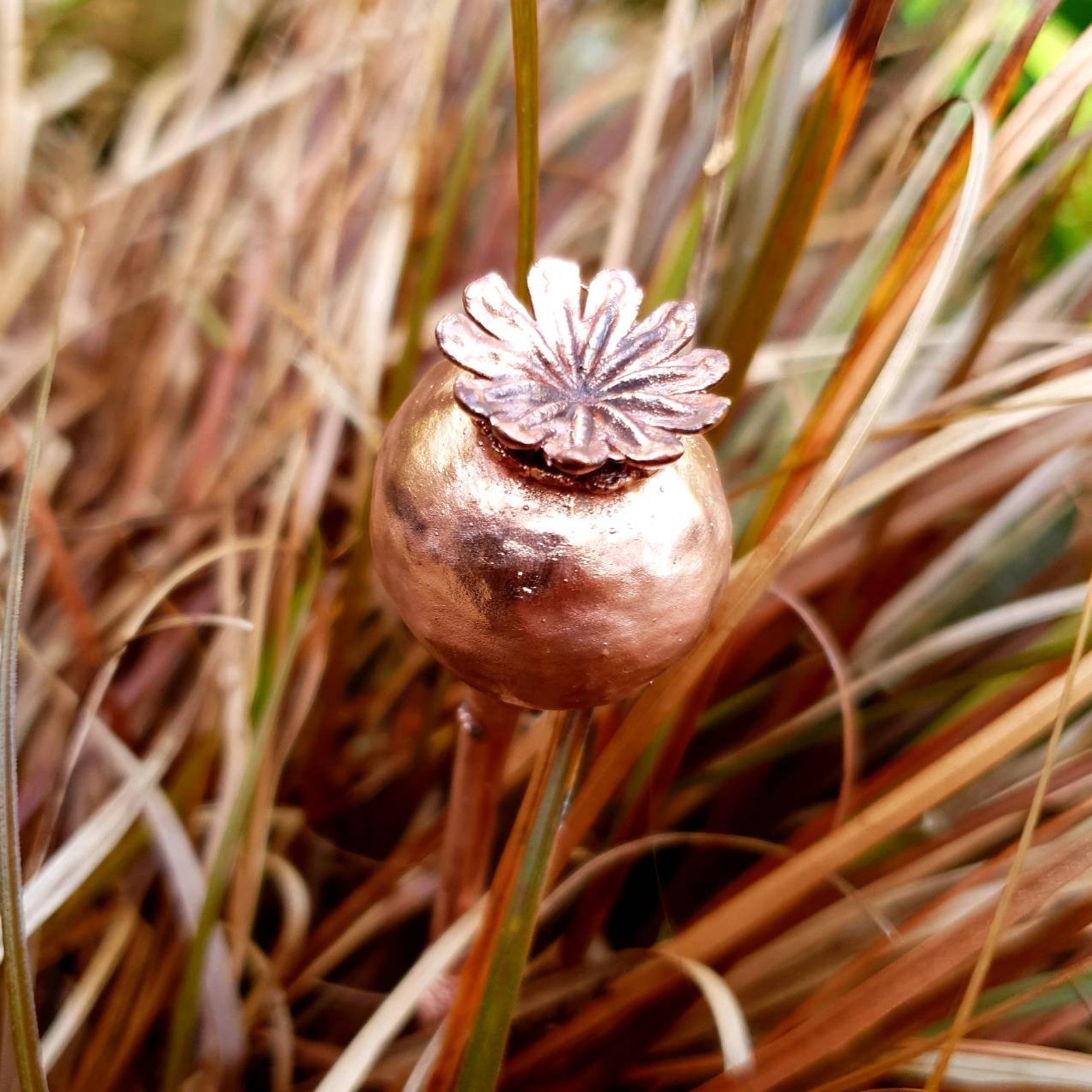 Real Poppy Sead Head Electroformed in Copper Decorative | Etsy