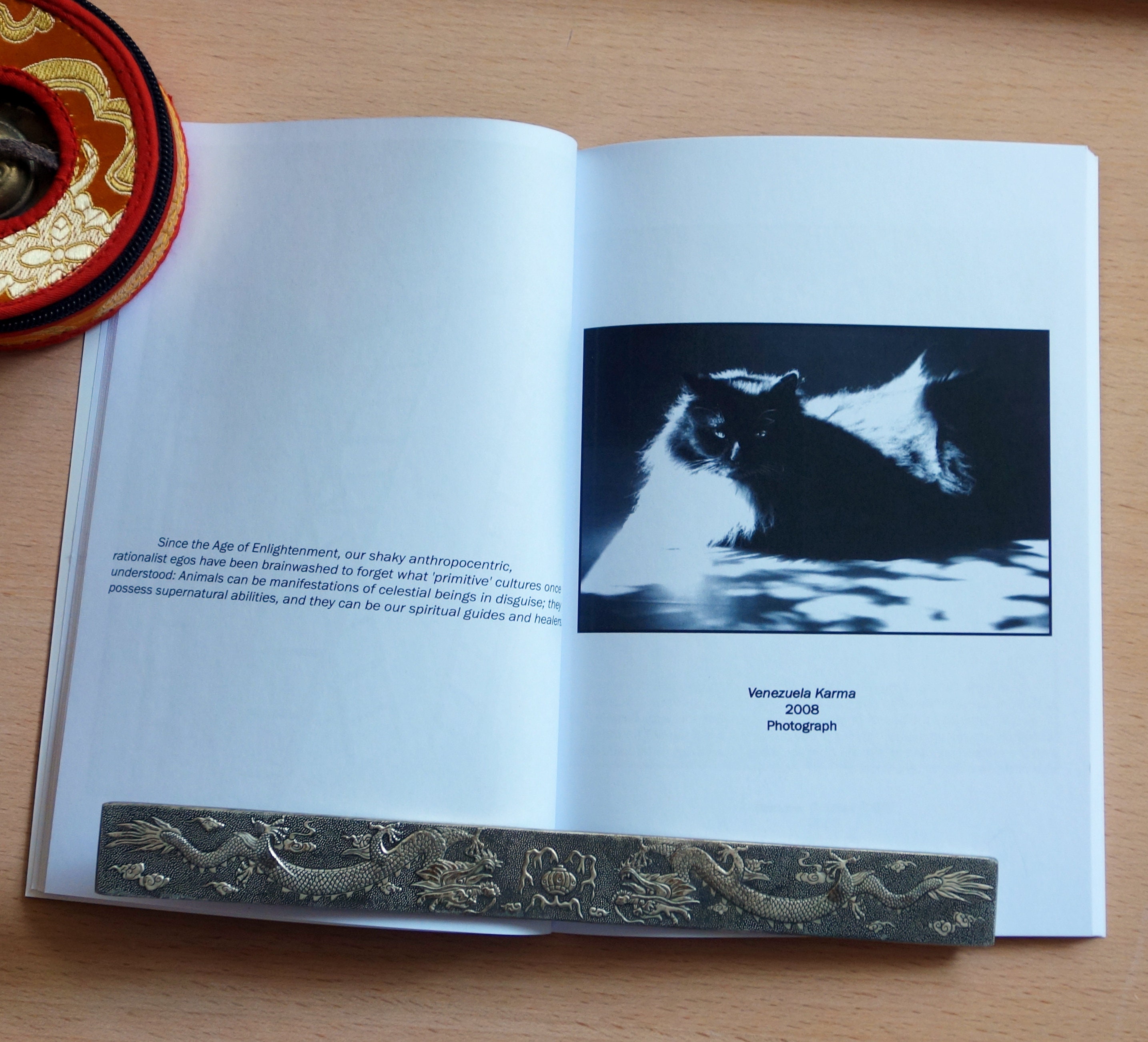 The Zaum of Zeena - Etsy