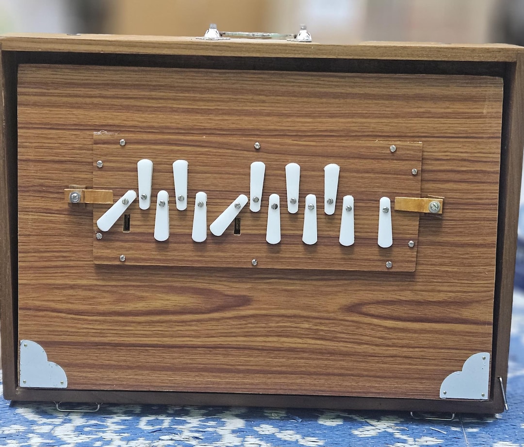 Teak Wood Shruti Box: 13 Keys, 440hz/432hz Tuning, With Carry Bag - Etsy UK