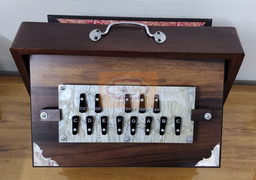 Shruti Box Wood and Ply Sur Pete With Bag With and W/O PEDAL 16x12x3 ...