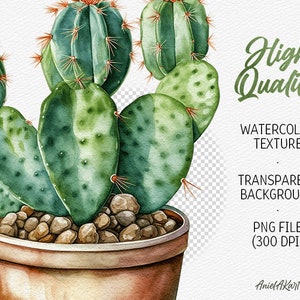 Watercolor House Plants Clipart Potted Plants PNG Bundle Greenery Clip ...