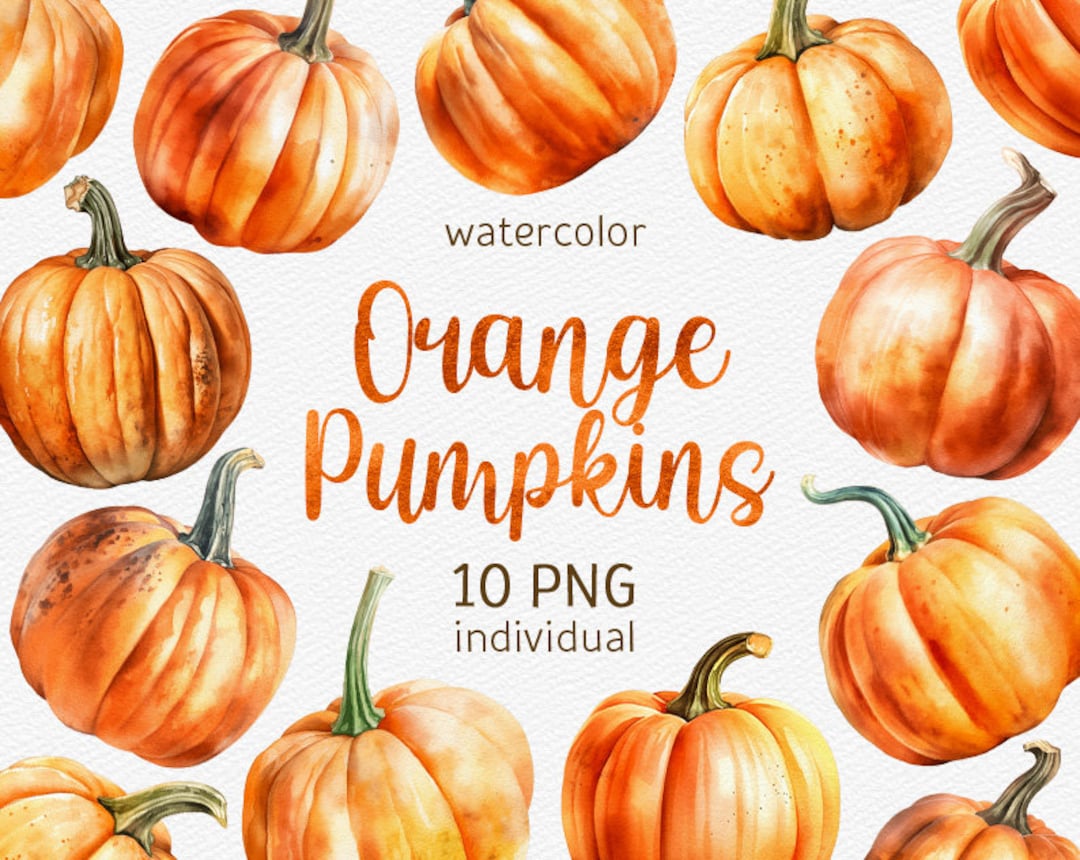 Watercolor Orange Pumpkins Clipart Thanksgiving PNG Bundle Autumn Clip ...