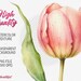 Watercolor Tulip Clipart, Pink Tulip PNG, Scrapbooking Clipart Bundle ...