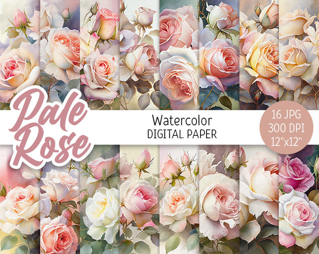 Watercolor Pale Rose Digital Paper Pack Pink and White Rose Printable ...