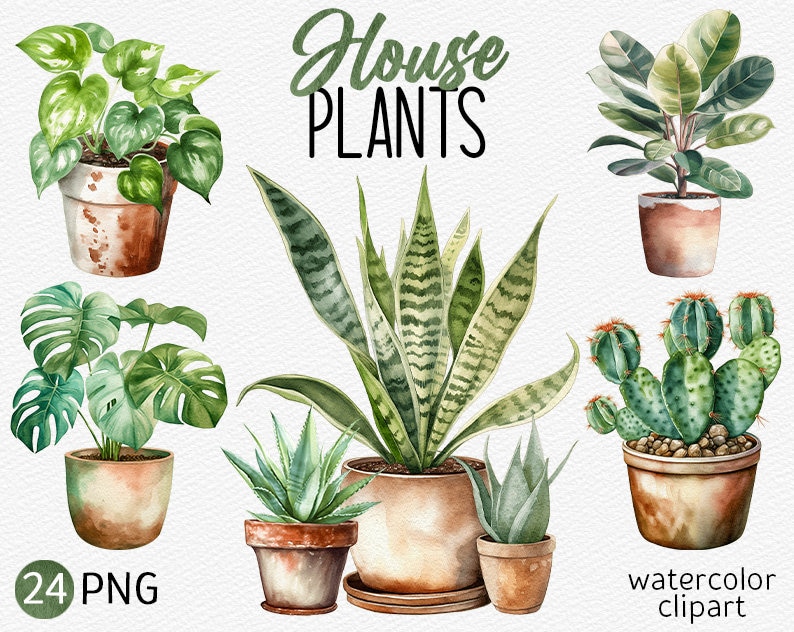 Watercolor House Plants Clipart Potted Plants PNG Bundle Greenery Clip ...