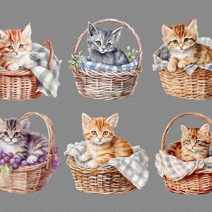 Watercolor Kittens in Baskets Clipart Pack Baby Kitten PNG Bundle ...