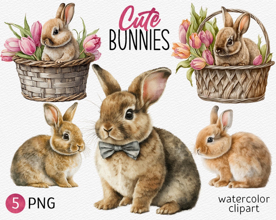 Watercolor Easter Bunny Clipart Bundle, Easter Clipart, Spring Clipart ...