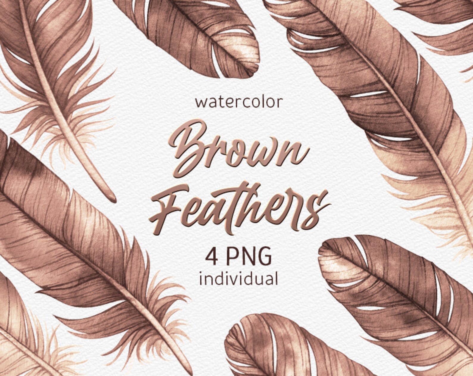 Watercolor Brown Feather Clipart Exotic Boho Hand Painted - Etsy