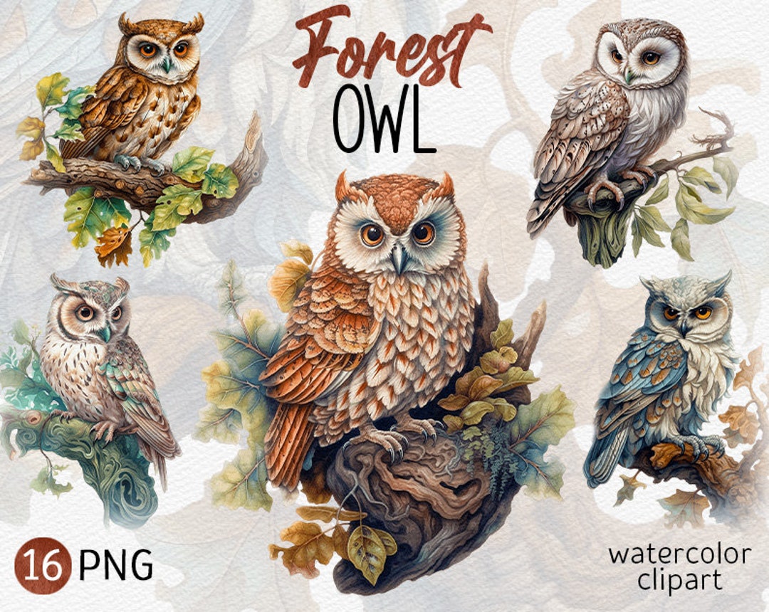 Watercolor Forest Owl Clipart Owls PNG Fantasy Clipart Mystical ...