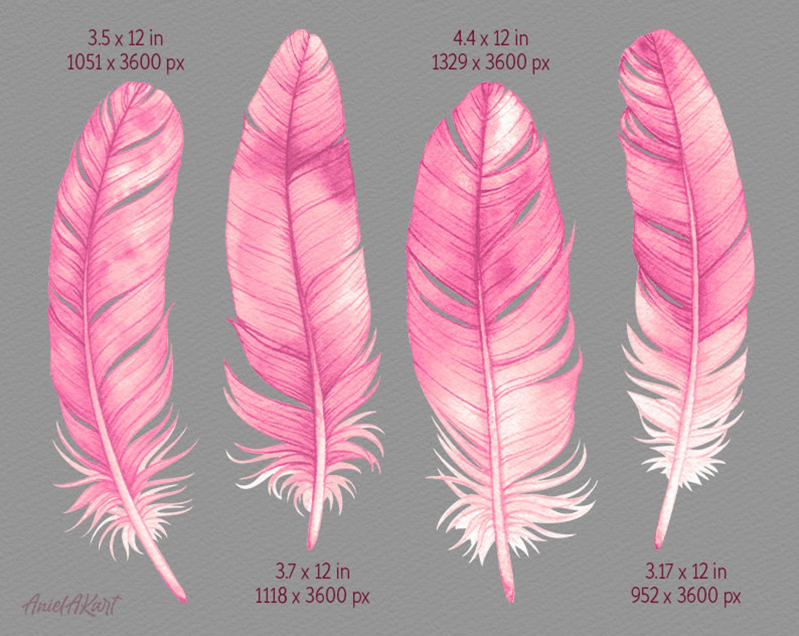 Watercolor Pink Feather Clipart Exotic Boho Hand Painted | Etsy