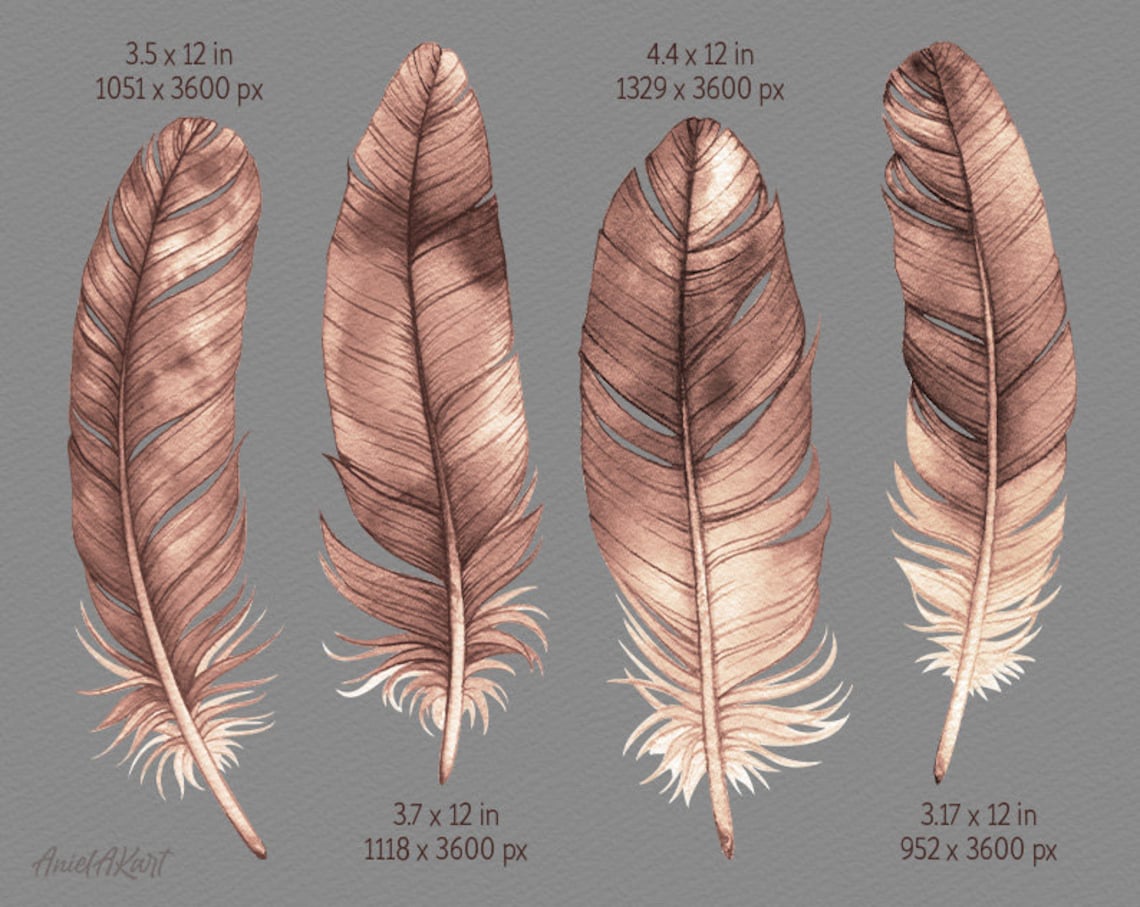 Watercolor Brown Feather Clipart Exotic Boho Hand Painted Bohemian Clip ...
