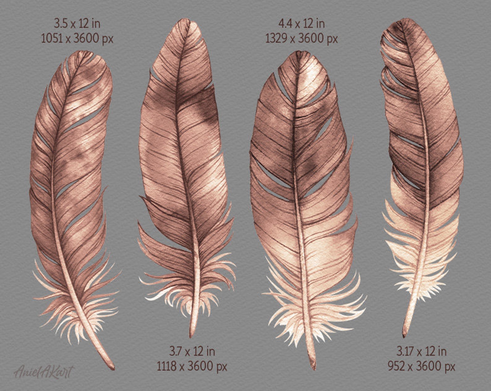 Watercolor Brown Feather Clipart Exotic Boho Hand Painted - Etsy
