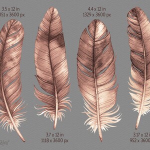 Watercolor Brown Feather Clipart Exotic Boho Hand Painted Bohemian Clip ...