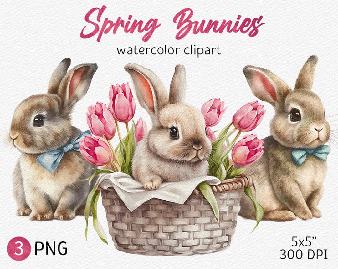 Easter Bunny Clipart, Cute Watercolor Baby Rabbit in Basket Easter PNG ...