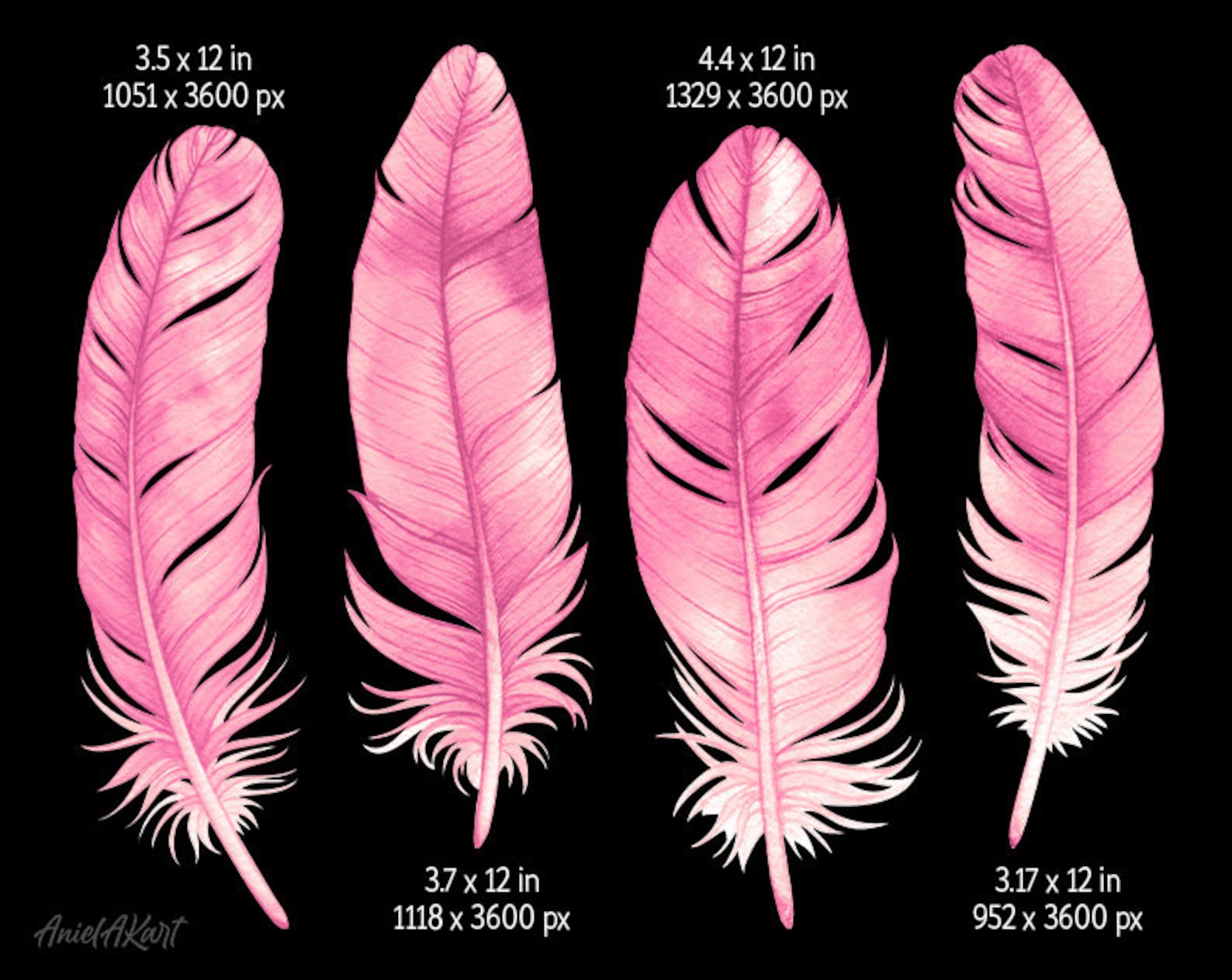 Watercolor Pink Feather Clipart Exotic Boho Hand Painted | Etsy