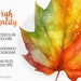 Watercolor Autumn Leaves Clipart Fall Leaf PNG Fall Decor Thanksgiving ...