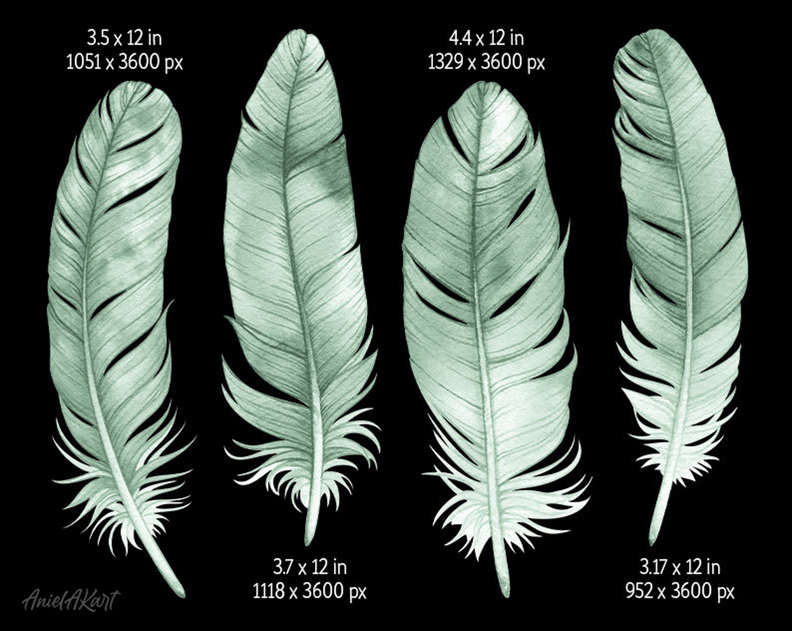 Watercolor Sage Green Feather Clipart Exotic Boho Hand Painted Bohemian ...