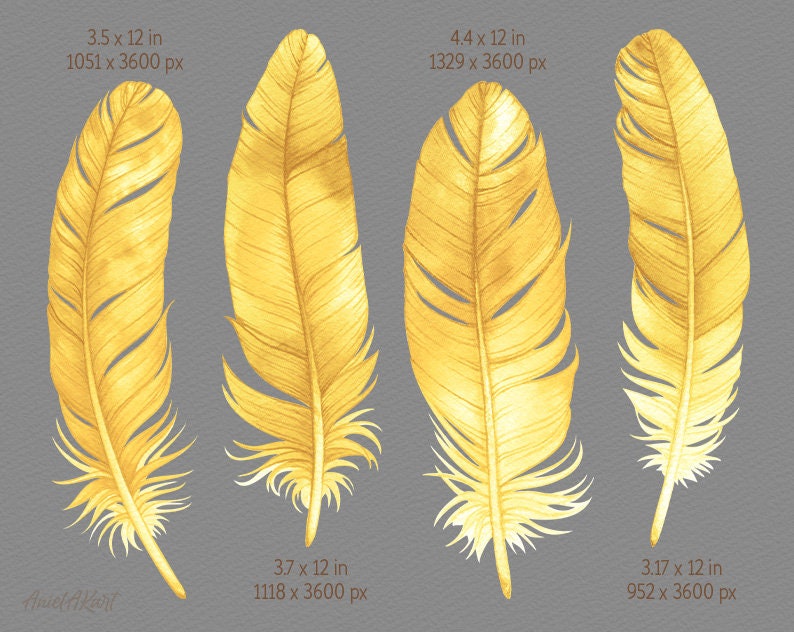 Watercolor Yellow Feather Clipart Exotic Boho Hand Painted Bohemian ...