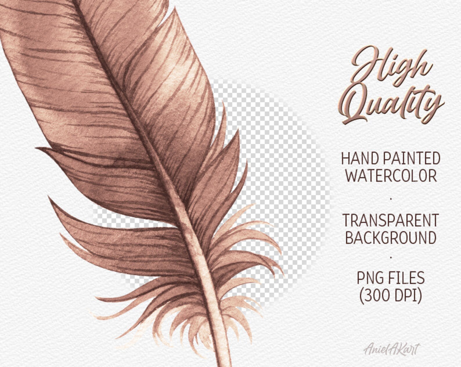 Watercolor Brown Feather Clipart Exotic Boho Hand Painted - Etsy