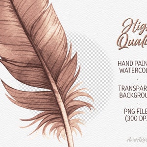 Watercolor Brown Feather Clipart Exotic Boho Hand Painted Bohemian Clip ...