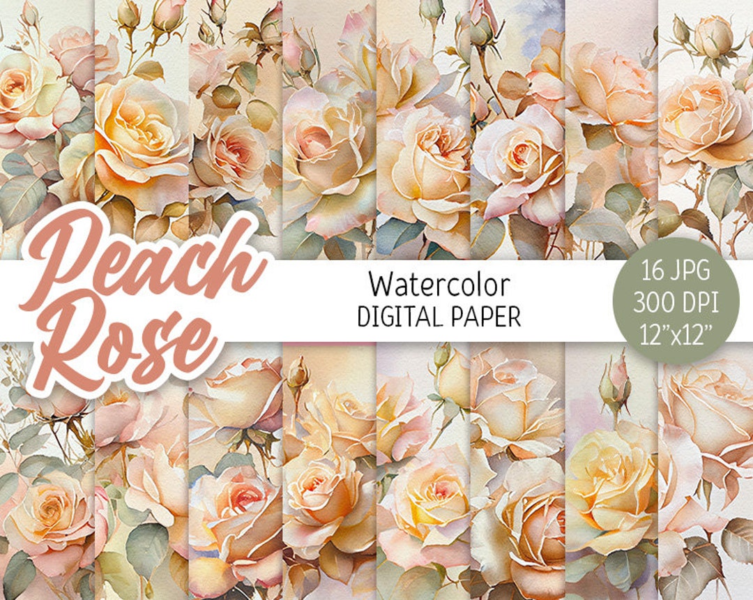 Watercolor Peach Rose Digital Paper Pack Pink Rose Printable ...