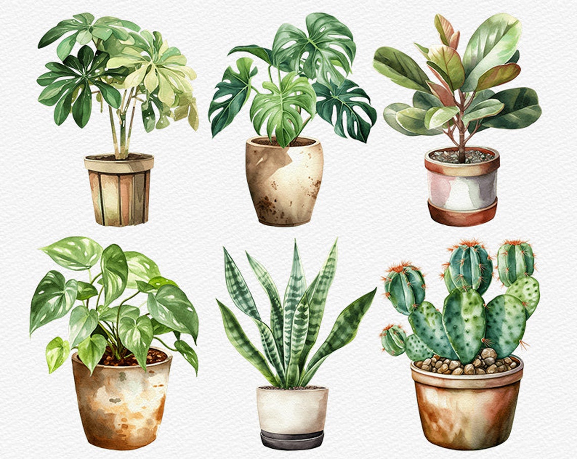 Watercolor House Plants Clipart Potted Plants PNG Bundle Greenery Clip ...