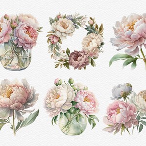 Watercolor Pink Peonies Clipart White Peony Bundle PNG Sublimation ...