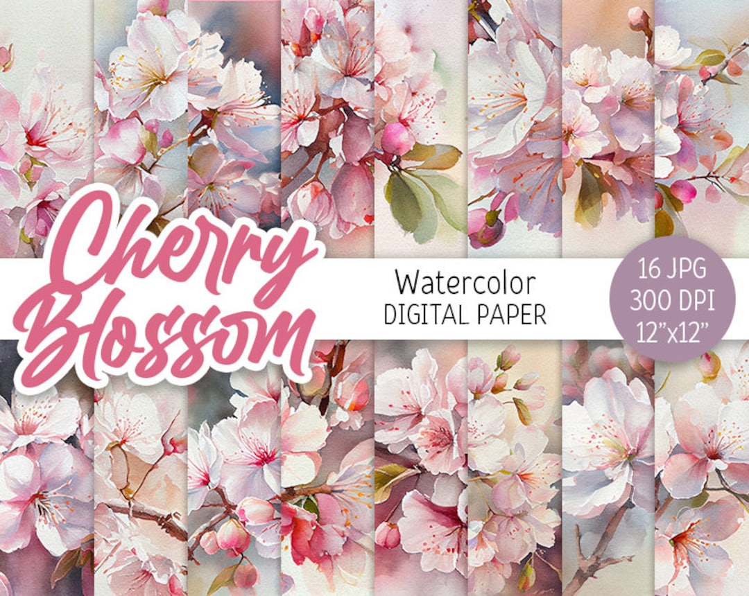 Watercolor Cherry Blossom Digital Paper Pack Pink Japanese Sakura Bloom ...