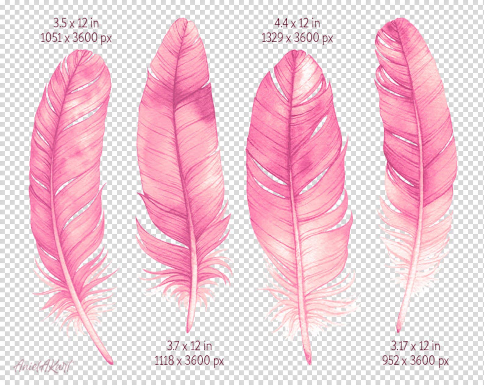 Watercolor Pink Feather Clipart Exotic Boho Hand Painted | Etsy